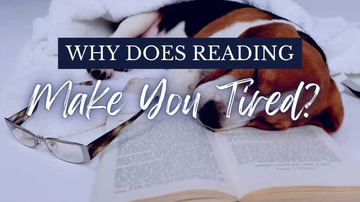 Why Does Reading Make you Tired: 11 Tips to Avoid Getting Sleepy | Just ...
